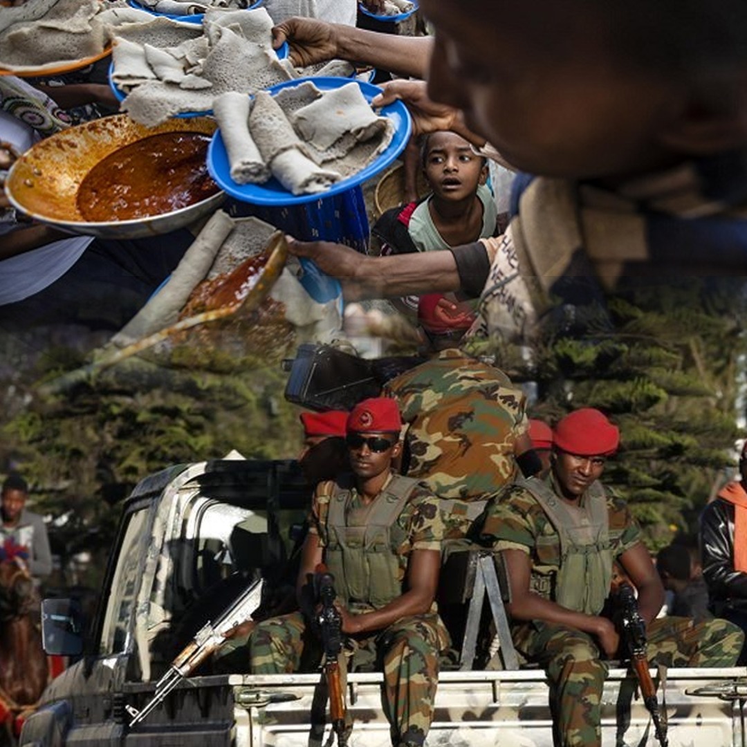 Food as Weapon of War - Fallout of the devastating Tigray Conflict ...
